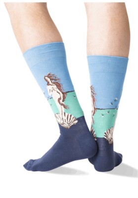 Hotsox Famous Artist Series Birth Of Venus Crew Socks 10-13 | eBay