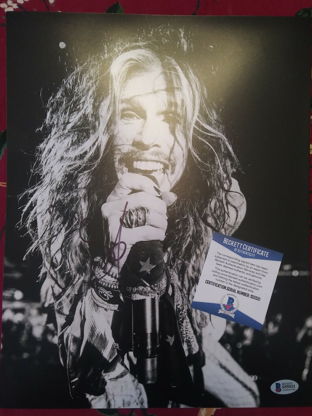 Steven Tyler Autographed Memorabilia | Signed Photo, Jersey ...