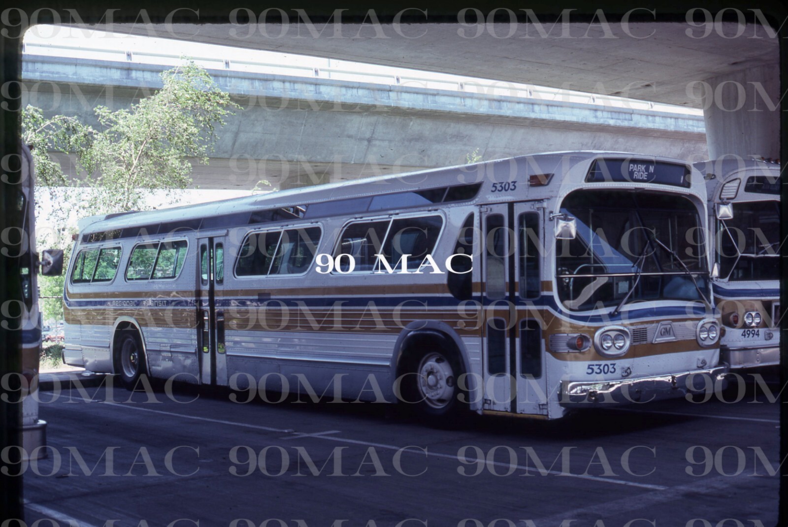 SRTD. GM COACH BUS #5303. Sacramento (CA). Original Slide 1980. (B) | eBay