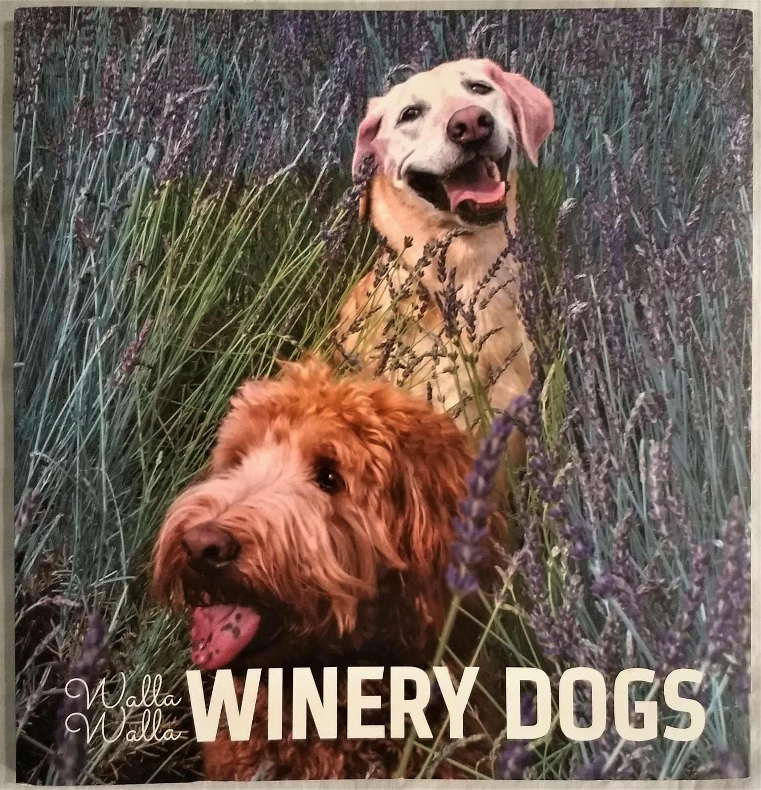 Winery Dogs of Walla Walla by Barbara Whatley (2014, Trade Paperback ...