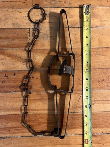 Oneida Victor Small Animal Spring Leg Trap Primitive Game Hunt w/ chain ...