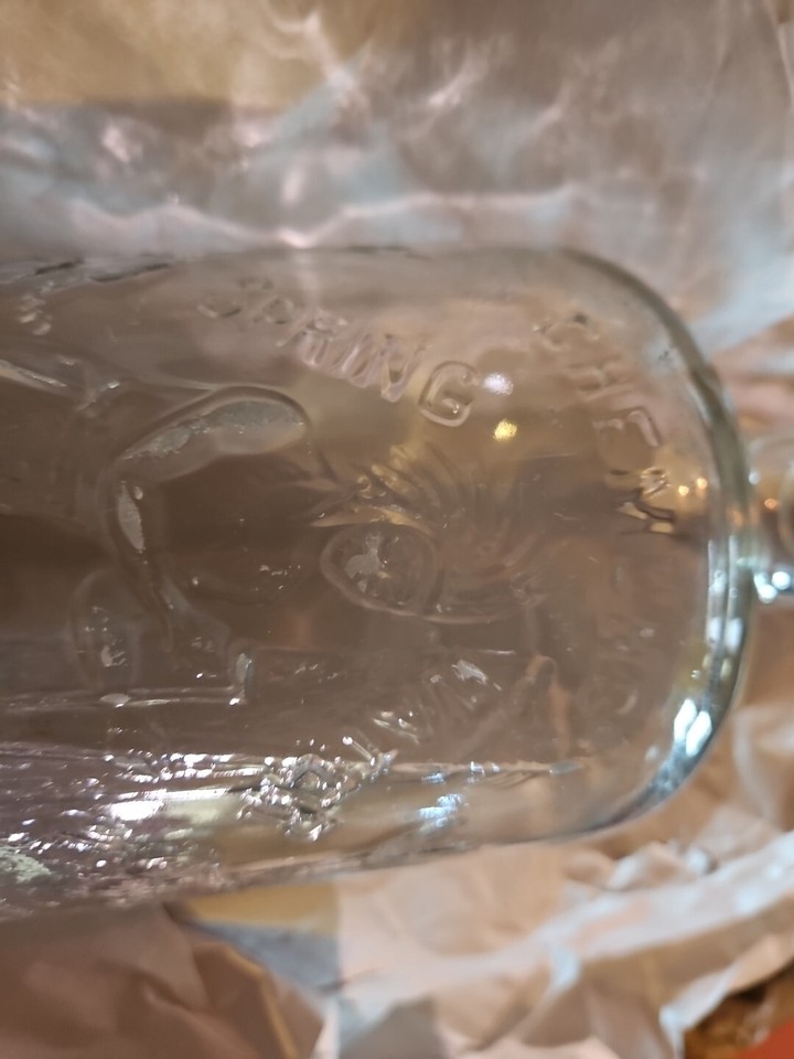 Antique Glass Embossed Native American Chemung Spring Water Bottle | eBay