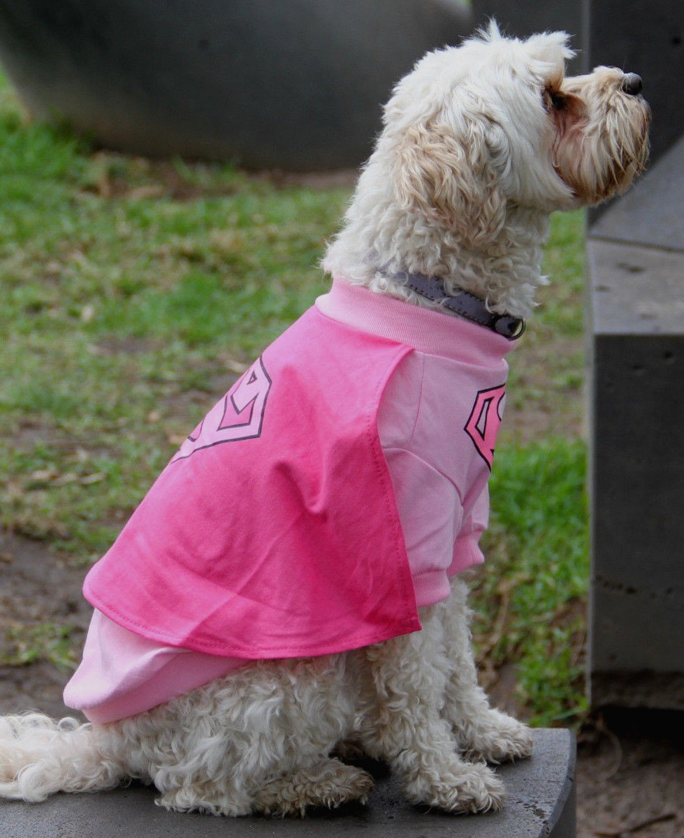 Supergirl Dog Costume SUPERGIRL PET TUTU DRESS – Rubies Deerfield