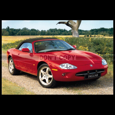 Photo A.031455 JAGUAR XK8 CONVERTIBLE R PERFORMANCE 1999 | eBay