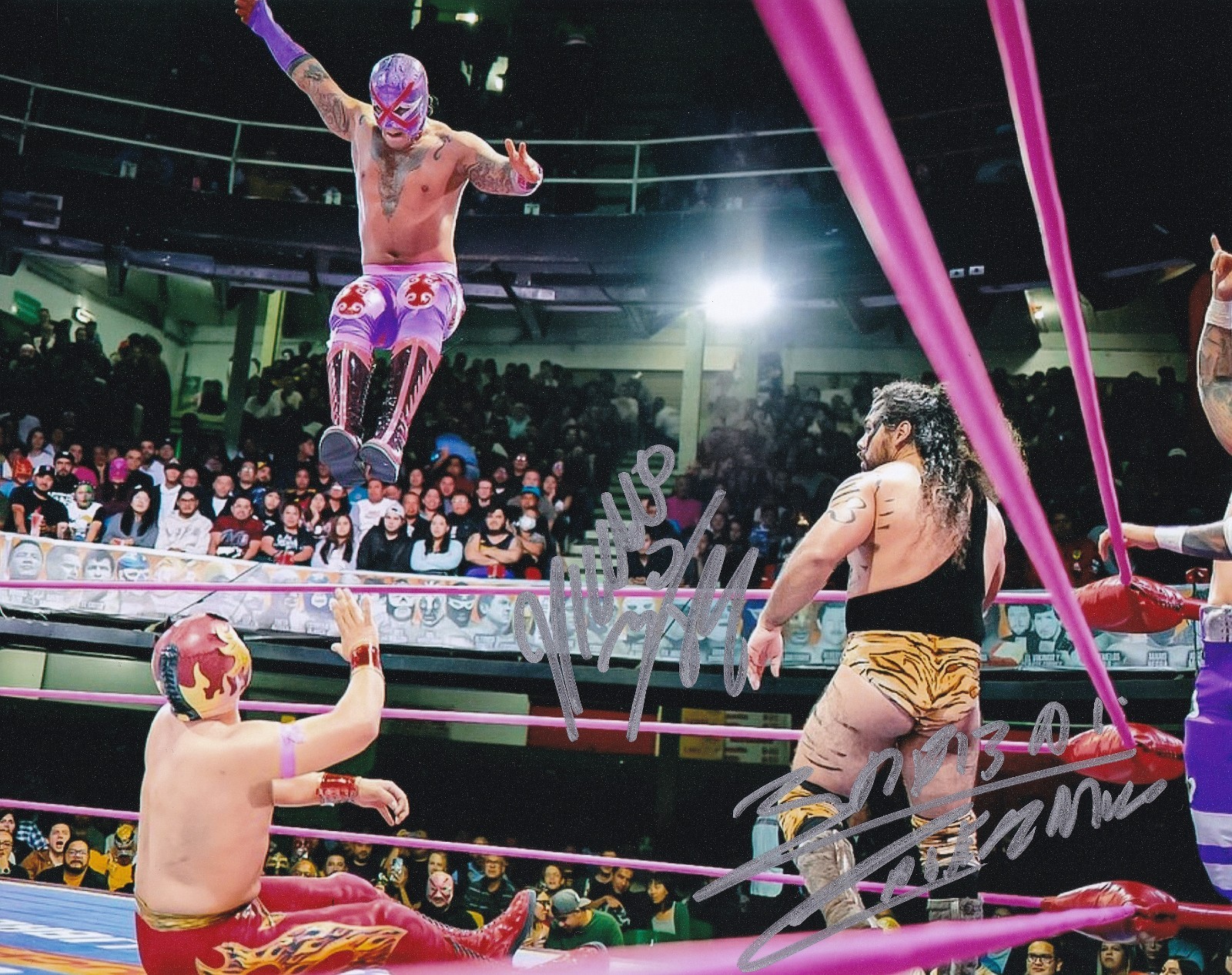 BARBARO CAVERNARIO VILLANO III JR SIGNED AUTO'D 8X10 PHOTO CMLL NJPW ...