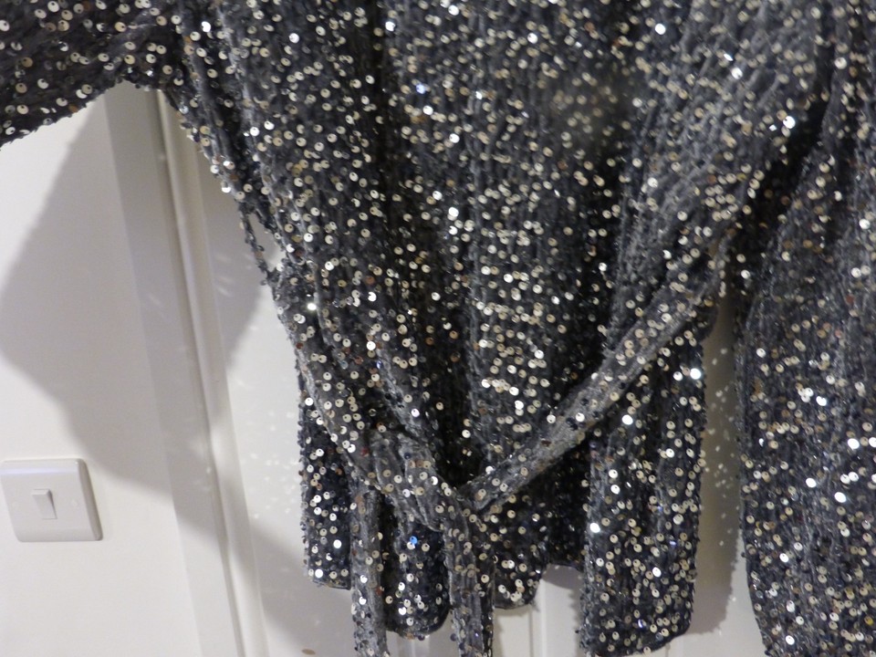 BNWT Boo Hoo Silver tunic velvet sequin top, sz 24 | eBay