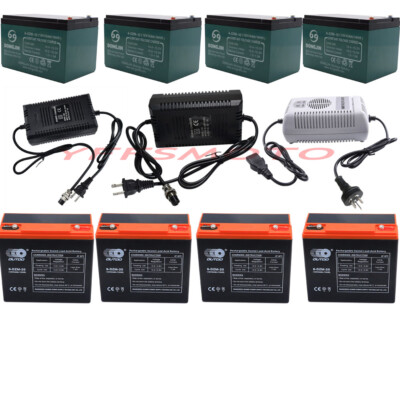 3/4/5/6pcs 6-DZM-12 6-DMF-20 Battery 24V 48V 72V Charger for Go Kart E ...