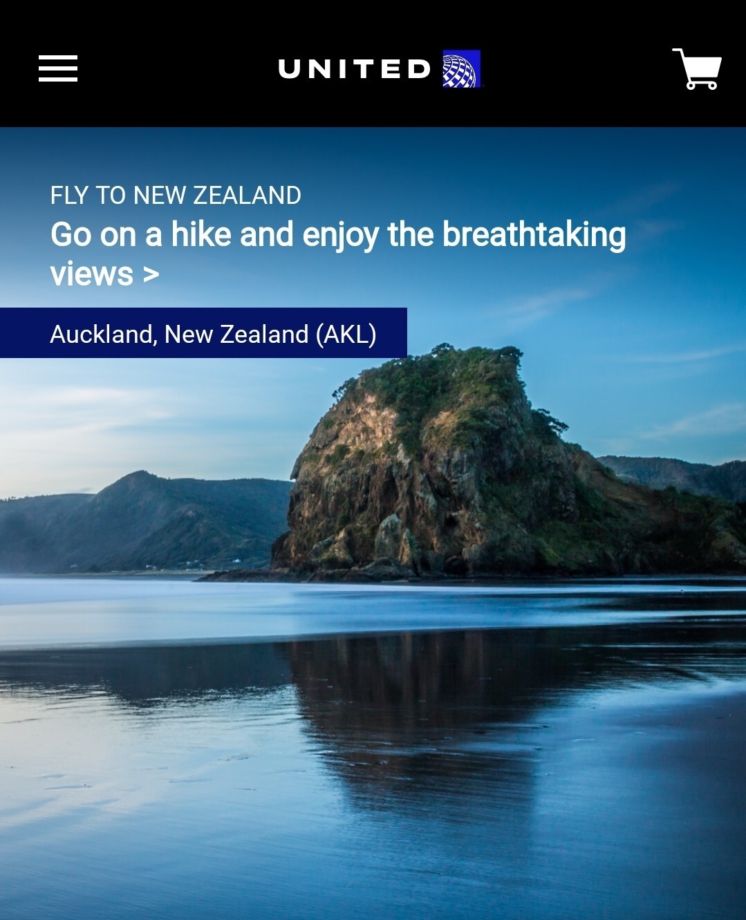 United Premier 1K upgrade 40 plus points advice-- EXPIRES 1/31/25 | eBay