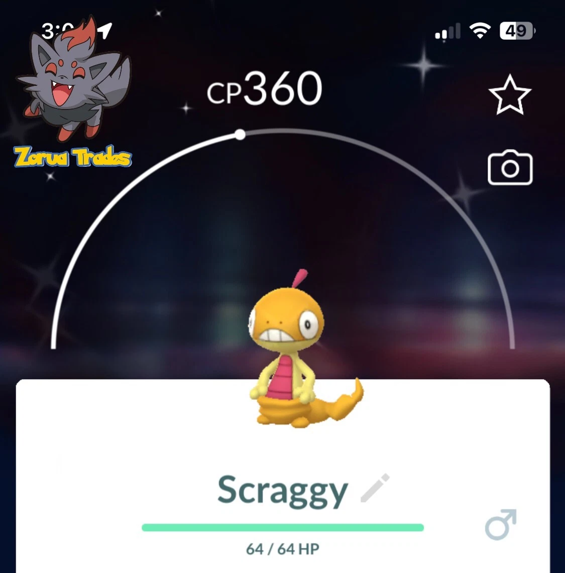 Shiny Scraggy