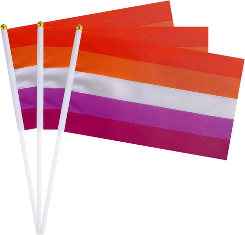 Lesbian Pride Flag Decorations Hand Held Small Sunset Lesbian Pride ...