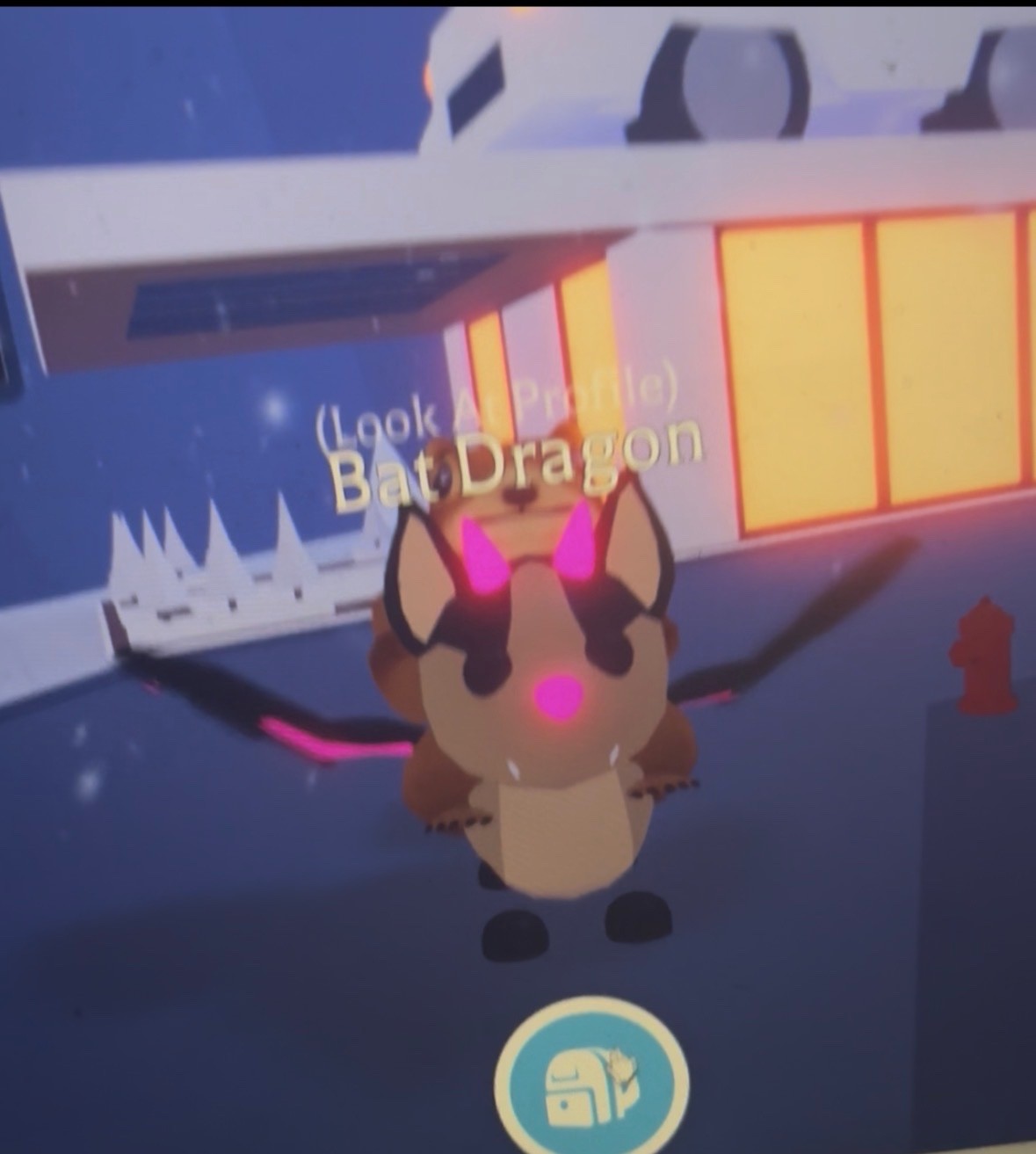 Mega Fly Ride Bat Dragon Pet! Fast Delivery! Read description! | eBay