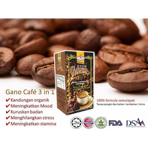 10 BOXES Original Gano Excel Cafe 3 in 1 Coffee Ganoderma Reishi FAST ...