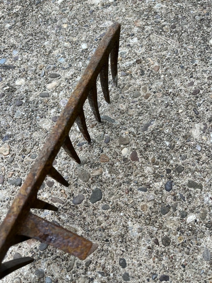 Vintage Primitive Iron 14 Prong Rake Head Garden Tool Head | eBay