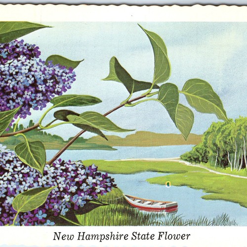 1968 NH New Hampshire Flower Purple Lilac Lake Scene Ken Haag Painting ...