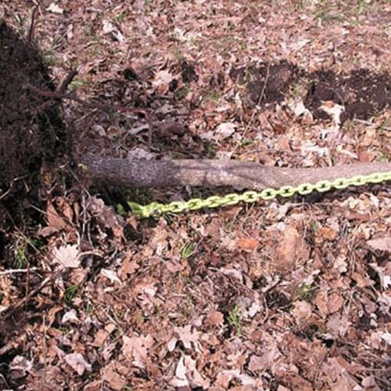 Garden Brush Puller Tool w/Strong Jaws Clearing Stumps & Invasive ...