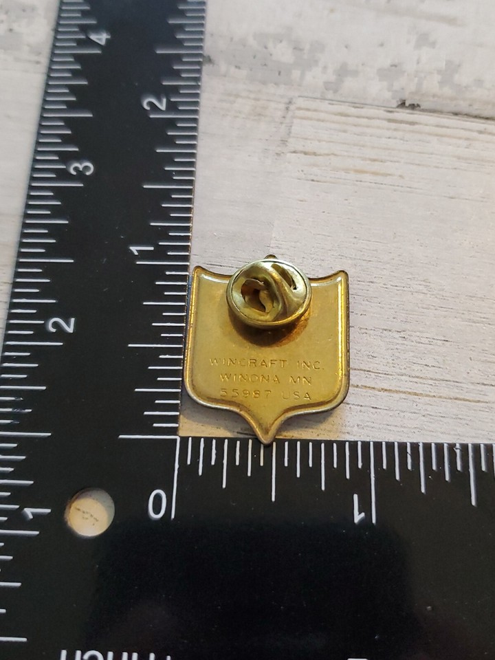 NFL Shield Carolina Panthers Pin Lapel Broach Football Team USA lj | eBay