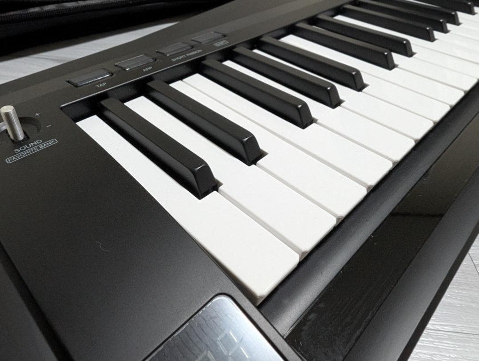 KORG RK-100S 2 Black Shoulder Keyboard KEYTAR 37Keys w/ Canare Cable ...