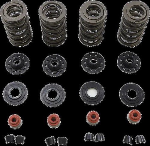KW Racing Steel Valve Spring Kit .675in Lift HD Dyna Fat Bob 08-17 | eBay