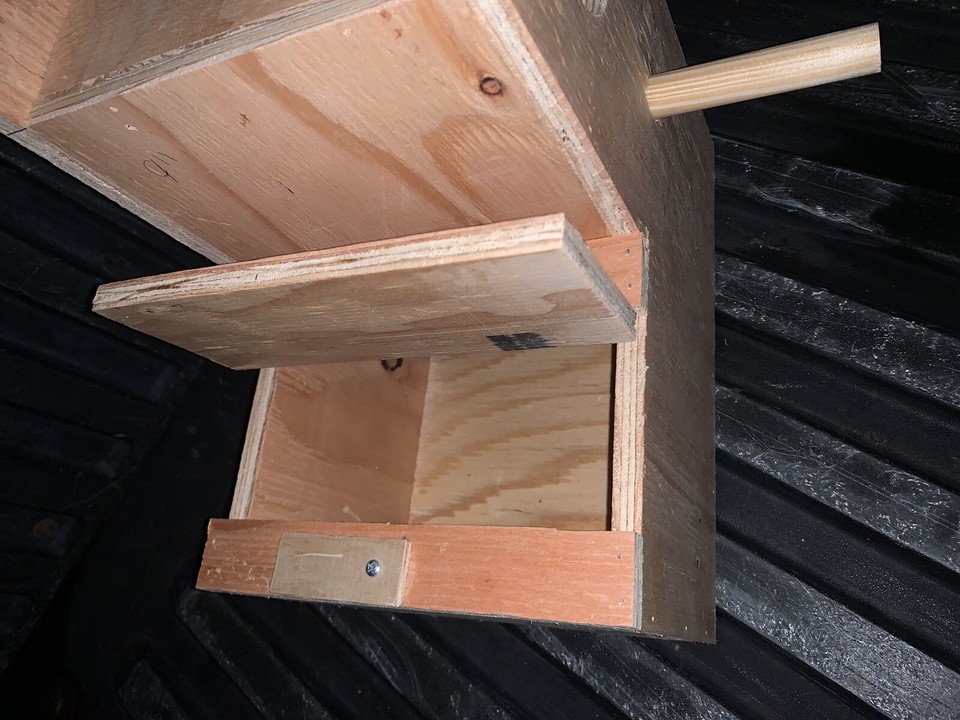 Green Cheek Conure Nest Box 12x12x7 Breeders Nest | eBay