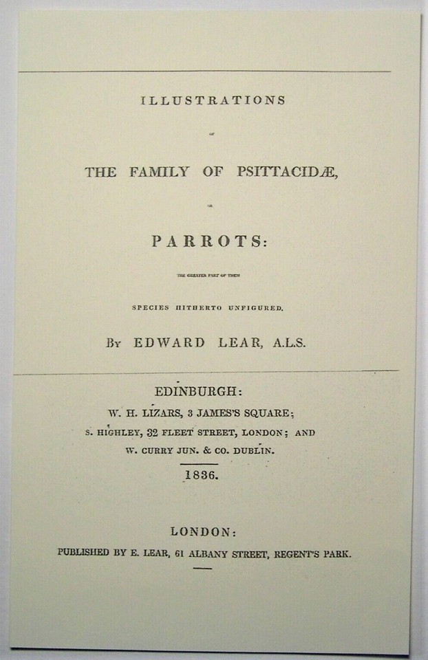 Edward Lear Original Antique Hand Colored Parrot Engraving: Edinburgh ...