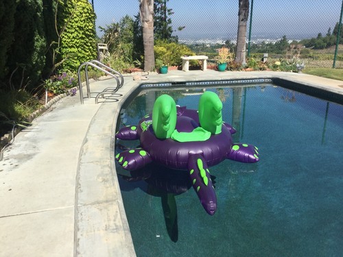 Swimline 90625 Swimming Pool Kids Giant Rideable Sea Dragon Inflatable ...