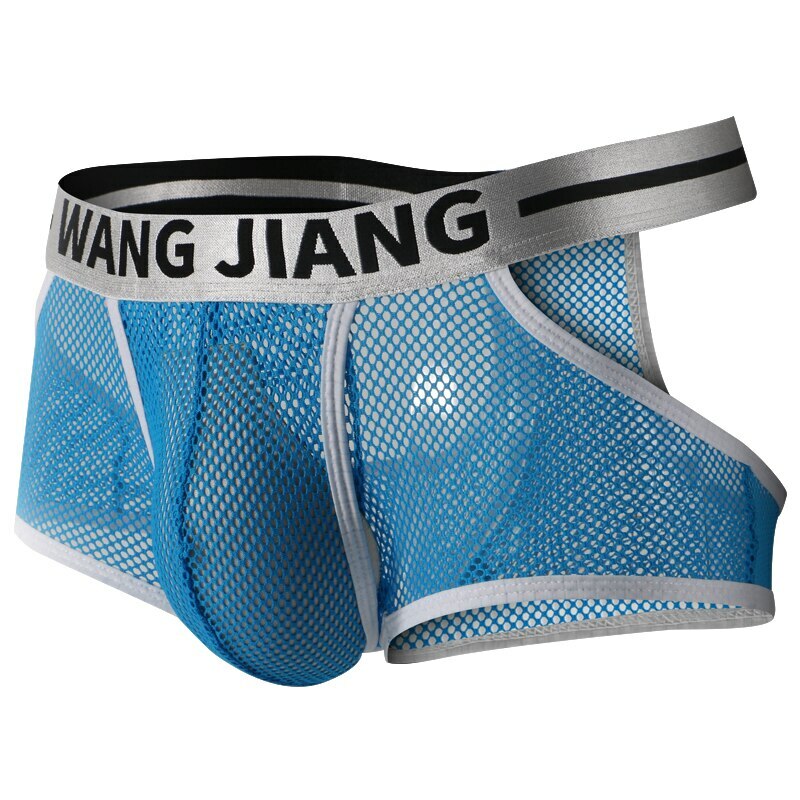 Seductive Mesh Boxer Briefs - Revealing Underwear with Transparent ...