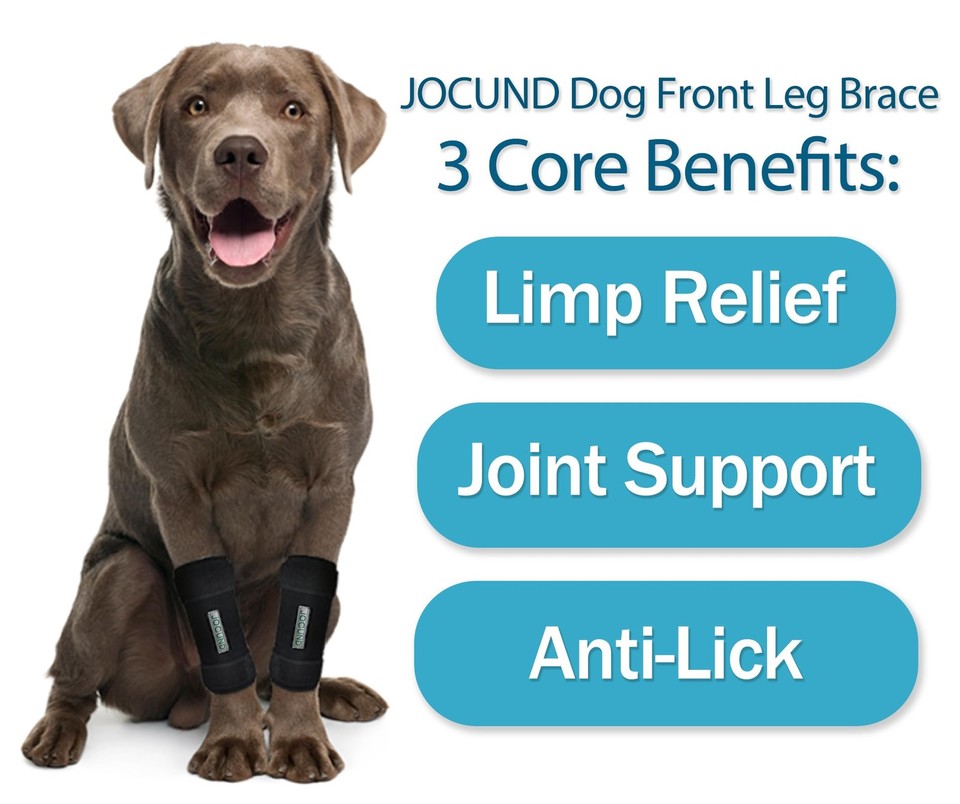 Dog Front Leg Brace with Metal Strips Canine Hock Wrap for Carpal ...
