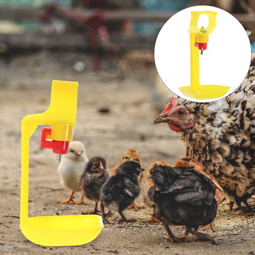 6 Pcs Chicken Waterer Container for Chickens Feeder Coop Feeders Yellow ...