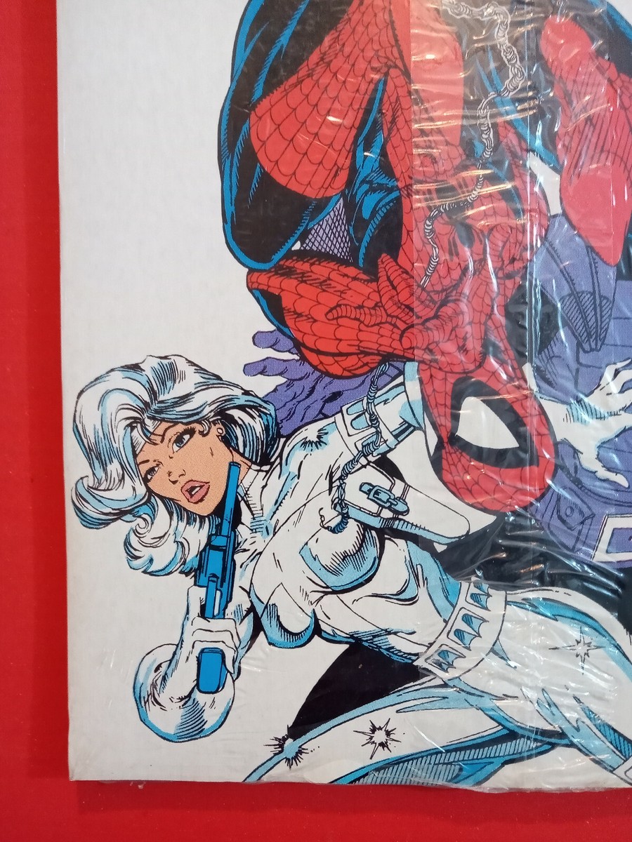 Drawing Assassin Spider