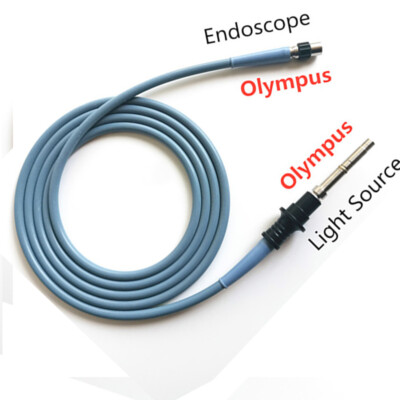 Endoscopes - Endoscope Light Guide