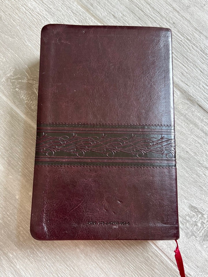 ️ MEV Bible Personal Size Large Print Cherry Brown: Modern English ...