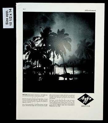 1937 Agfa Film Cameras Photography Photo Palm Tree Vintage Print Ad ...