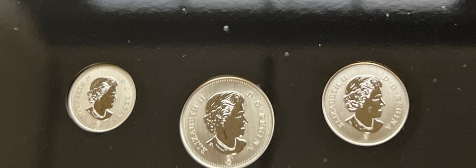 2019 Canada 6 Coin Specimen Set The Pileated Woodpecker Dollar ...