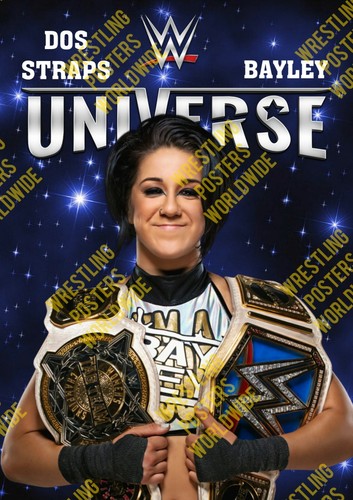 #1012 MAKE YOUR SELECTION WWE NXT UNIVERSE BAYLEY DOS STRAPS A4 A3 A2 ...