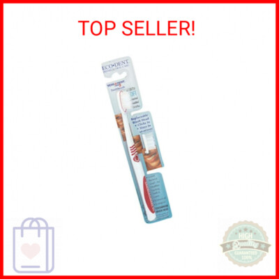 Terradent 31 Toothbrush Refill, Soft | eBay