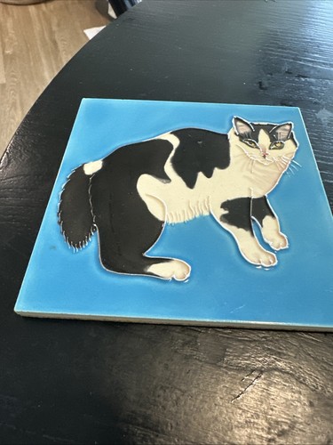 Awesome Cat Tile Black And White On Blue 6x6 | eBay