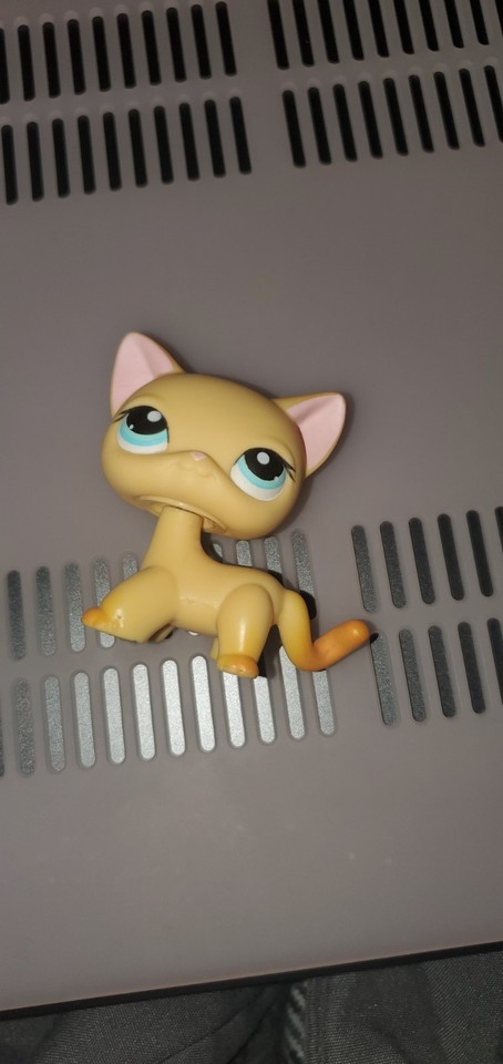 Littlest Pet Shop #339 Brooke Orange Shorthair Cat Blue Dot Eyes LPS ...