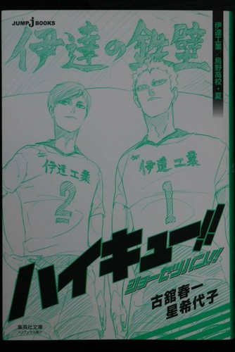 JAPAN novel: Haikyu!! Shousetsu Ban!! Date Tech High School/Karasuno ...