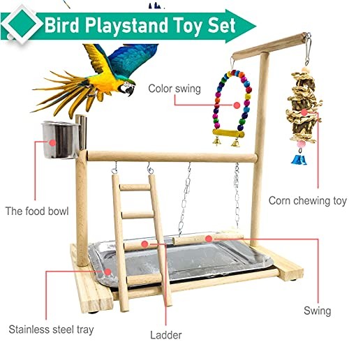 Bird Playground Parrots Play Stand Natural Wooden Parrot Perch Gym ...