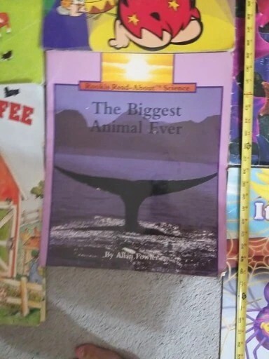 Lot of 8 Teacher Childrens Kids Big Books Oversized Read Along ...