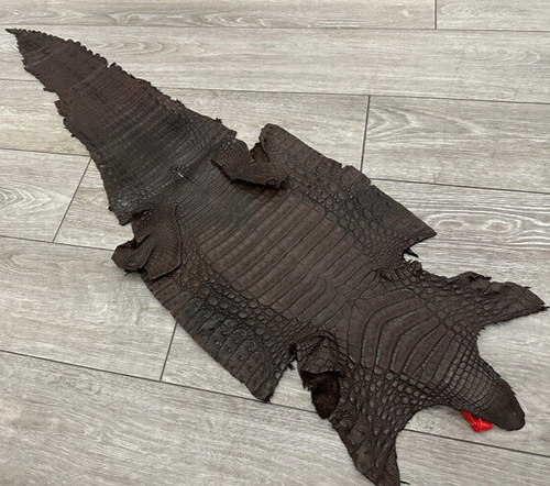 Brown Genuine Caiman Crocodile belly Hide Leather Skin real alligator ...