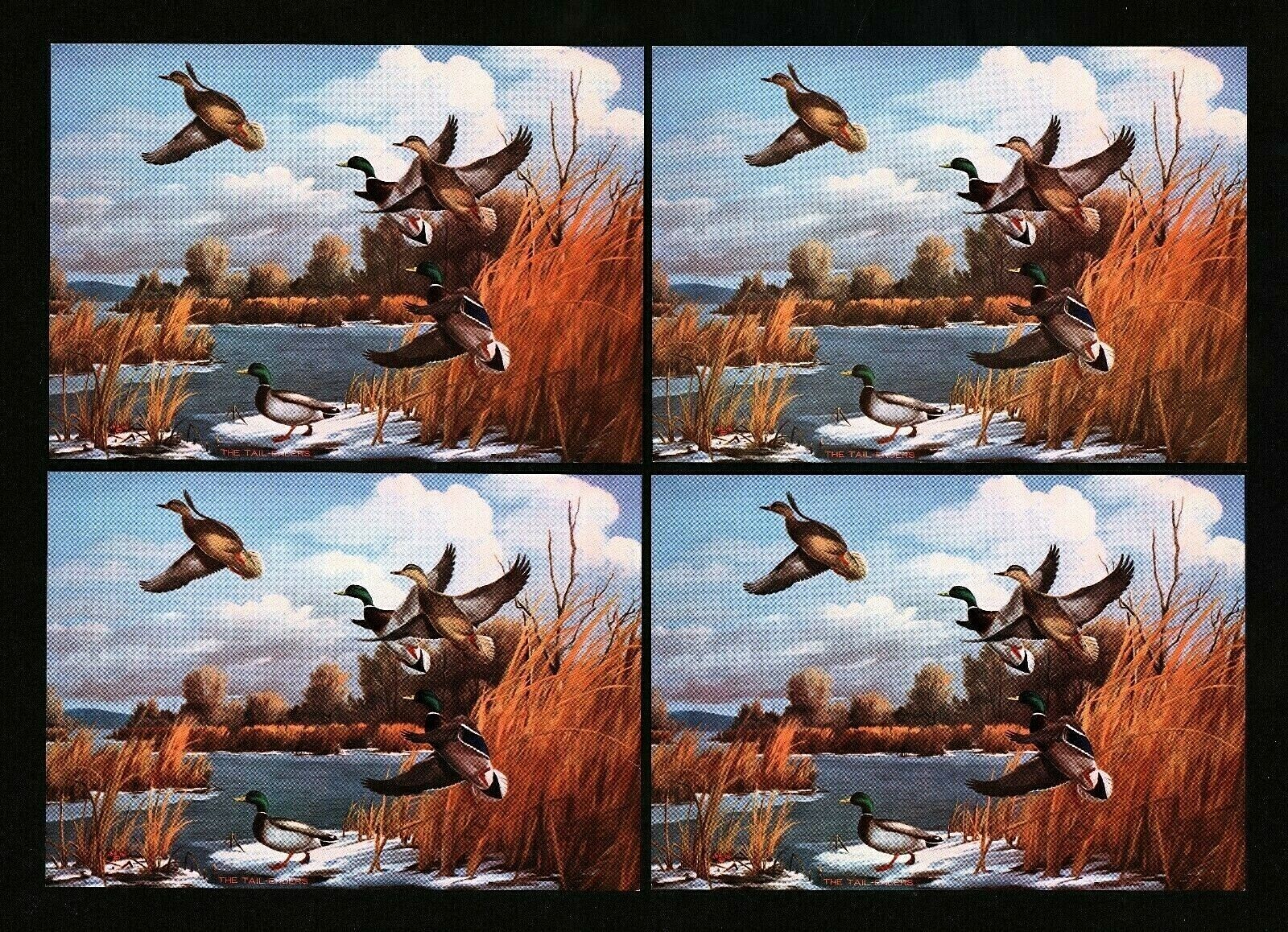1970's "The Tail-Enders" Mallard Ducks Calendar Art Prints (4) By ...