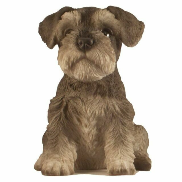 Mini Schnauzer Garden Statue - Garden Design Ideas