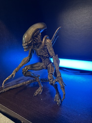 NECA Aliens / Alien Resurrection Movie Xenomorph Warrior 7" Action ...