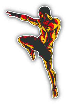 Fighter UFC Car Bumper Sticker Decal | eBay