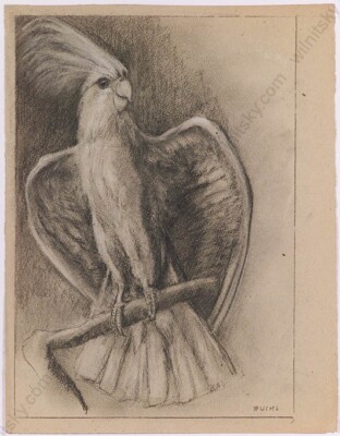 Robert Fuchs (b.1896) "Bird Study", Drawing, 1940s (1) | eBay