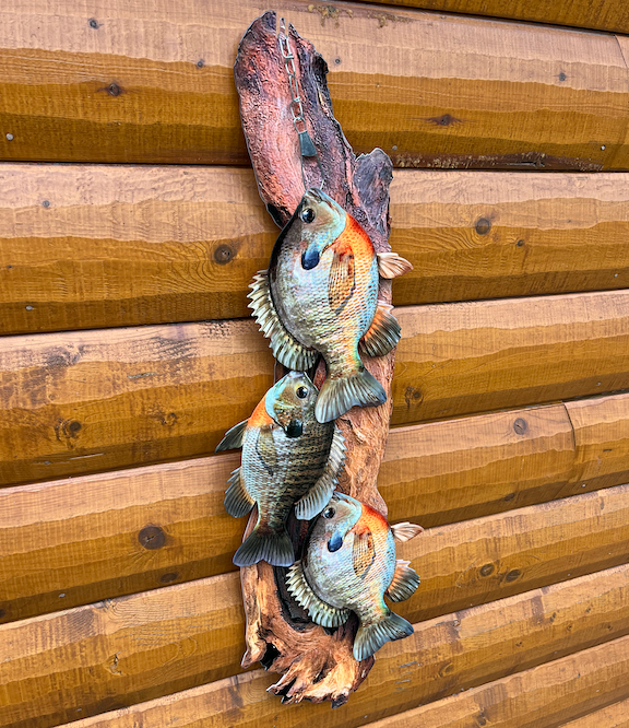 Bluegill Stringer Mount Layered Flat 2D Metal of 10.5-11 Inch Bluegill ...