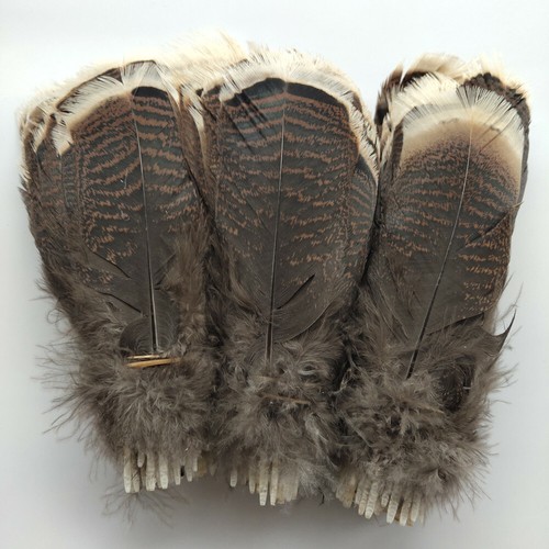10/50/100pcs Beautiful Natural Turkey Feathers 4-8 inches/10-20 cm ...