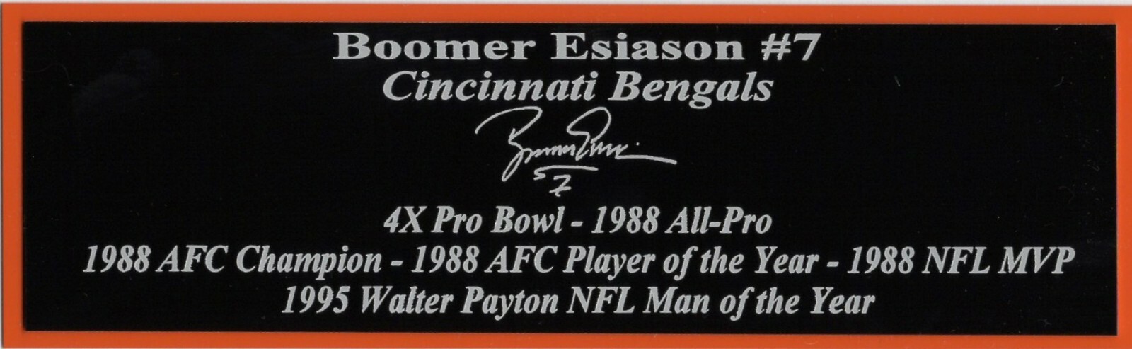 Ben Roethlisberger Autograph Nameplate Pittsburgh Steelers Auto Jersey ...