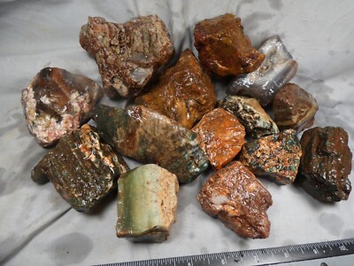 oregon hampton butte petrified wood 7 lbs | eBay